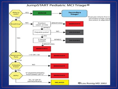 Mass Casualty Triage System Start And Jumpstart Pptx