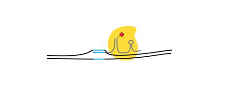 CRISPR Bind A Simple CRISPR Cas9 Powered Labeling Method For Bionano Mapping Bionanogenomics