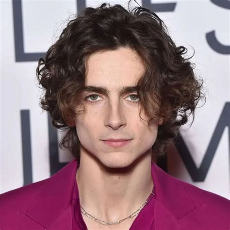 Chat with Timothée Chalamet - text or voice, Enjoy AI Chat Free & Safe