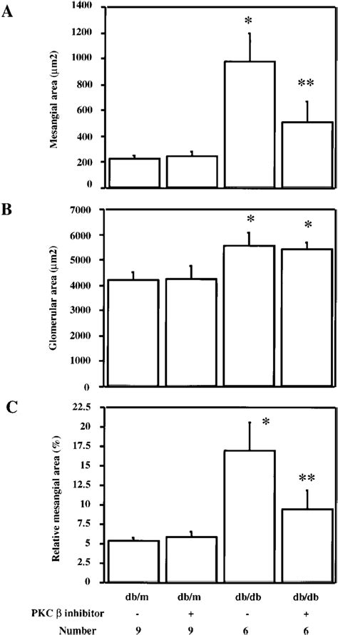 Quantification Of Glomerular Pathology Sections Stained With Pas Were