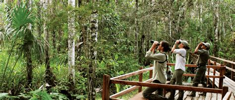 Turismo Responsable Definición Y Ejemplos Para Viajar De Forma Sostenible