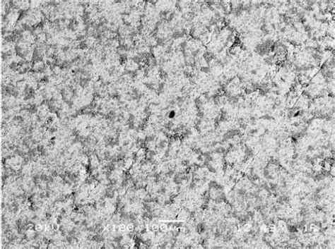 Sem Micrograph Of The 5 Wt Al2o3 Layer In The Fgm Download Scientific Diagram
