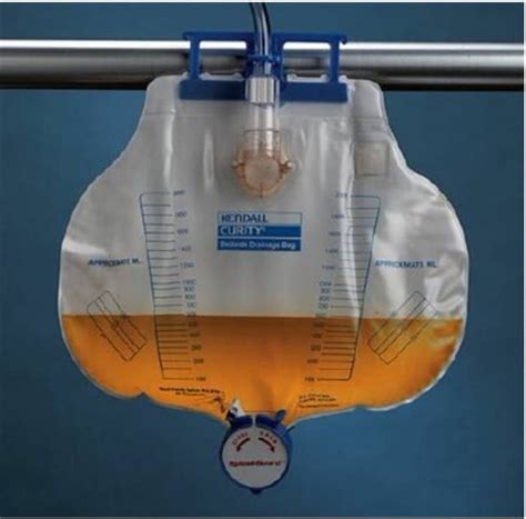 Bard Urinary Urinary Drain Bag Mckesson Anti Reflux Valve Mckesson