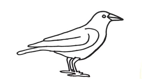 25 Easy Crow Drawing Ideas Solar Living Savvy