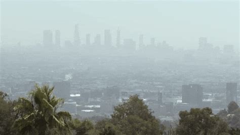 Air Pollution May Harm Your Sperm Count Says Study