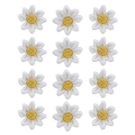 Count Edible Daisy Sugar Cake Flowers White Unwired Small Inch By Chef Alan Tetreault