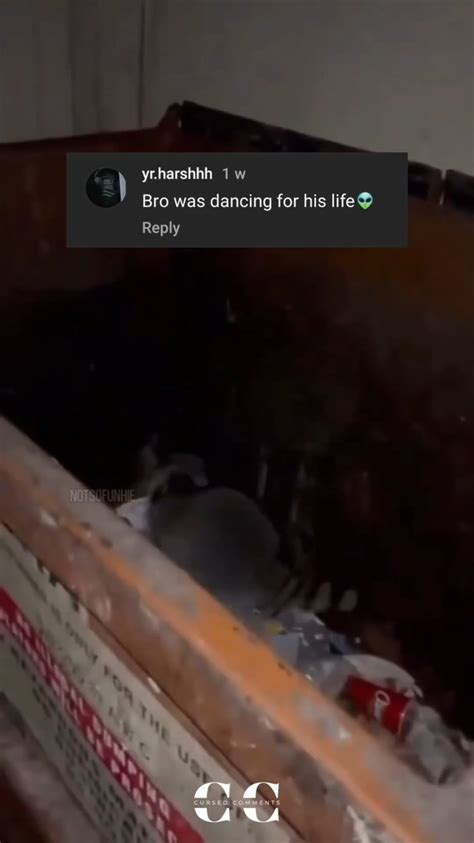Bruh Xd Rkemparty
