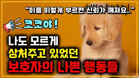 내 강아지 성격 망가지는 보호자의 나쁜 행동 Youtube