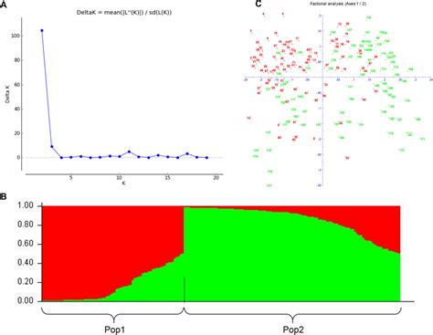 Results Of Population Structure Analysis Based On Molecular Markers Download Scientific Diagram