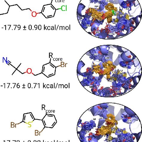 Strongest Binding Ligands Found Their Calculated Binding Free