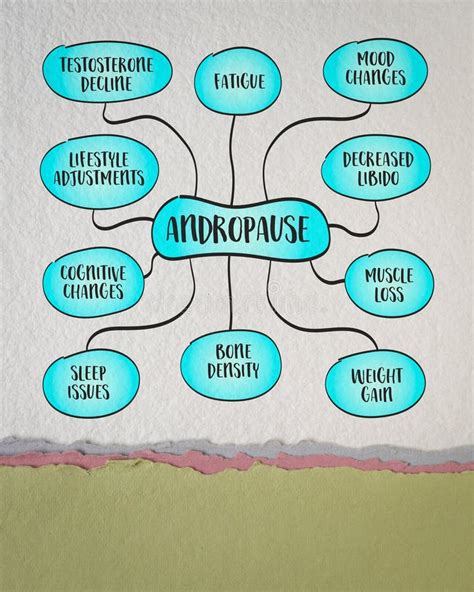 Andropause Male Menopause Phase In Men Lives Where Testosterone