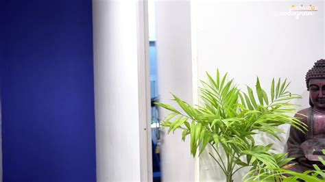 [video] codegnan on linkedin rejectionrebound careersuccess