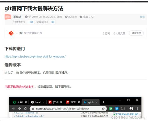 快速解决git官网下载慢：淘宝镜像助力 csdn博客