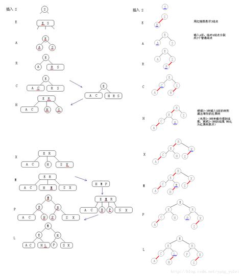 红黑树详解 samanthachen s blog