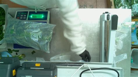 planeat digital scale roboflow universe