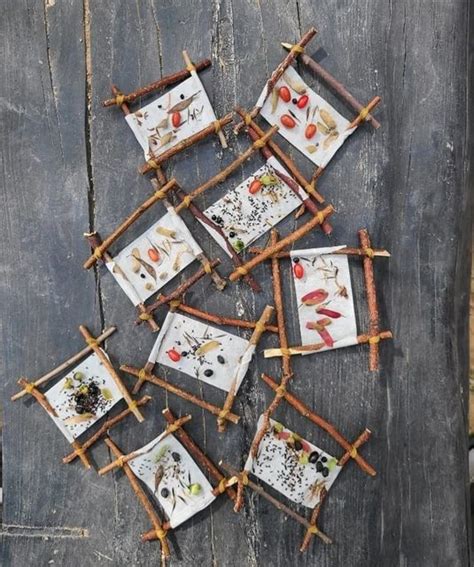 박 영주 숲놀이터 대장 빵주샘 On Instagram 빵주샘의 가을 자연놀이 1탄 6가지 🍂 살아있는 모든것을