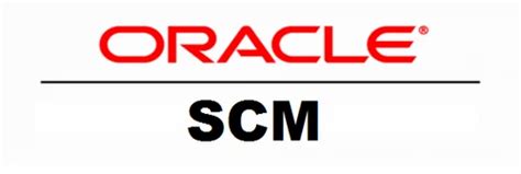 Oracle Scm Functional Training India At Best Price In Hyderabad Id 18307340788