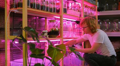 Hydroponic Growing Systems Benefits And Advantages Hydroponic Gardening