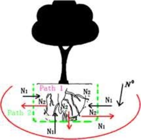 Illustration Of The Impulsive Diffusion Download Scientific Diagram