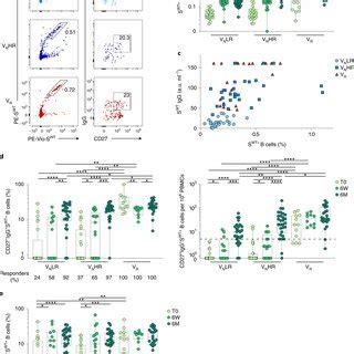 Dynamics Of Memory B Cell Responses After BNT B MRNA Vaccination A Download Scientific