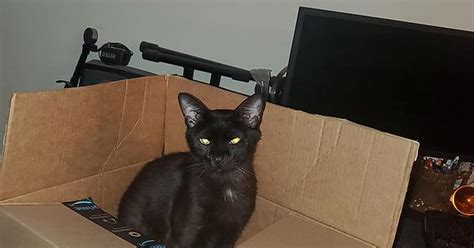 Nimbus Album On Imgur