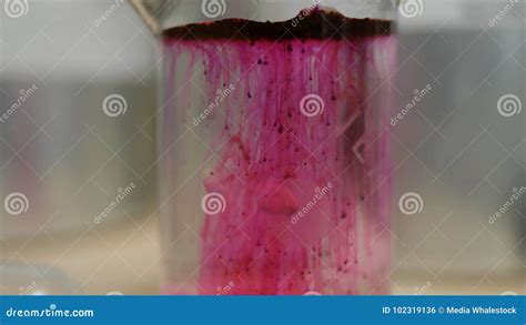 Colored Beautiful Chemical Reaction In Flask Pink Or Red Liquid Dissolves In Flask Pink Matter