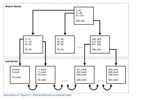 Oracle中索引的原理 想飞 毛毛虫 博客园