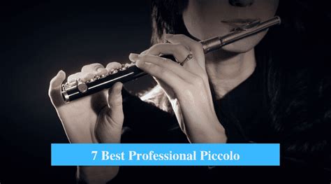 7 Best Professional Piccolo Reviews 2022 Cmuse