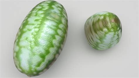Cucamelons 3d Model Cgtrader