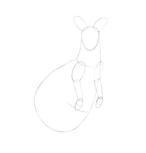 How To Draw A Kangaroo