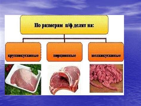 Механическая кулинарная обработка мяса презентация онлайн