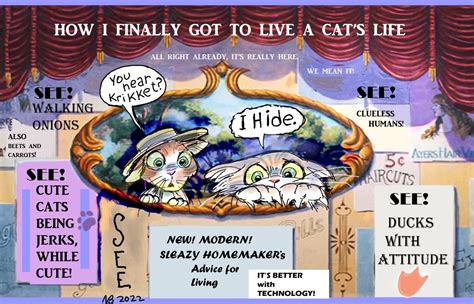 Nancy Beimans ‘how I Finally Got To Live A Cats Life A Cartoon Diary