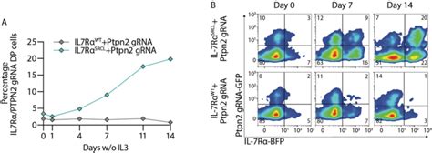 Figure S10 Percentage Of Bfp Gfp Double Positive Cells A And Download Scientific
