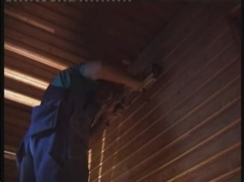 World Sex Tour Streaming Video On Demand Adult Empire