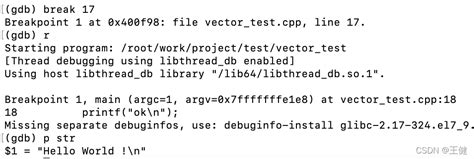 Gdb打印vector指定元素gdb 模式下显示vector的第一个元素 Csdn博客
