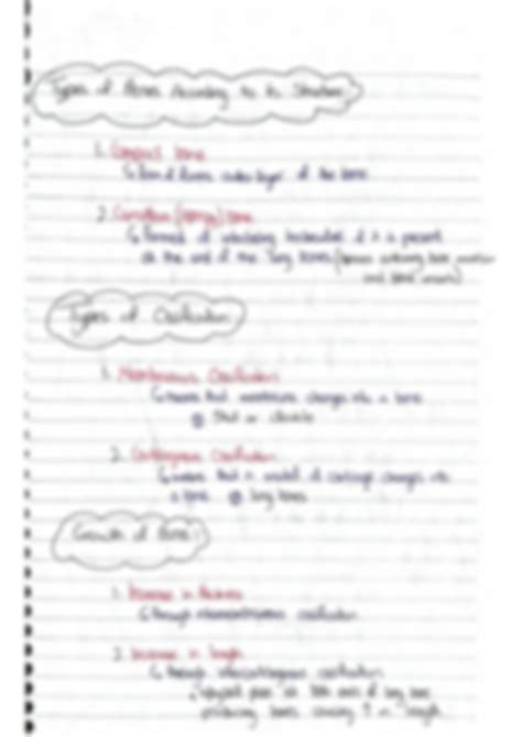 SOLUTION Lecture Skeletal System Studypool