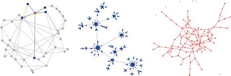 Example Of A Small World A Free Scale And A Random Graph Network