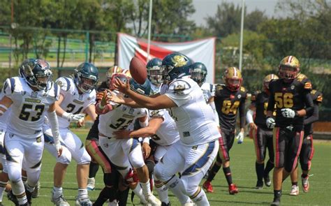 Inicia La Temporada De La Juvenil Aa De La Fademac Grupo Milenio