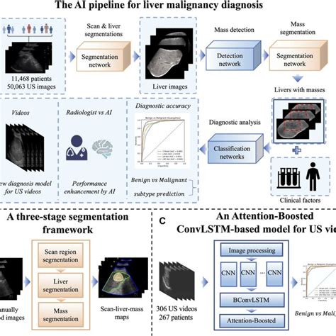 The Overview Of The Ai Pipeline A The Ai Pipeline For Liver