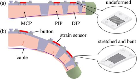 Sensing Principle Of The Strain Sensor A The Strain Sensor Keeps Download Scientific Diagram