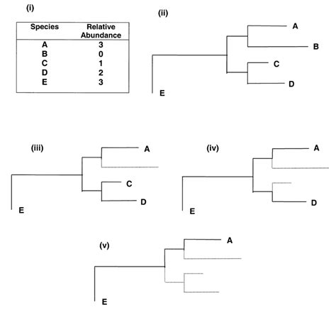 trees within trees where abundance data are available i samples can