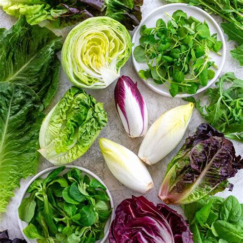 Types Of Lettuce And Other Leafy Greens Jessica Gavin