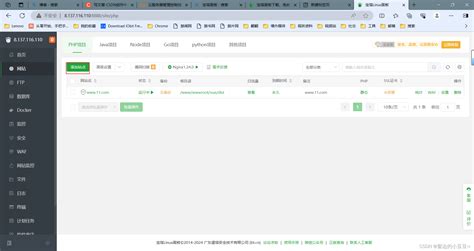 vue springboot项目打包部署上线 vite环境打包 遇到的问题及解决办法 vite打包路径问题 csdn博客