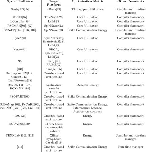 Neuromorphic System Software Approaches Targeting Performance And