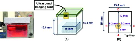 A Schematic Of The Single Element Transducer Ultrasound Shear Wave Download Scientific