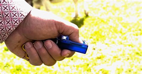 Fifteen Tips For Getting Started With The Clicker Karen Pryor Clicker