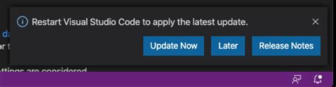 Macos VS Code Will Not Update Ask Different