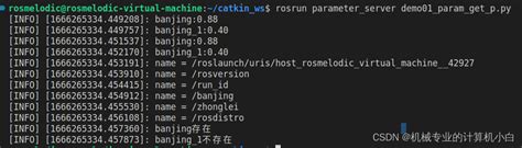 11ros编程学习：参数管理机制python实现rosrun 启动程序带参数 Csdn博客