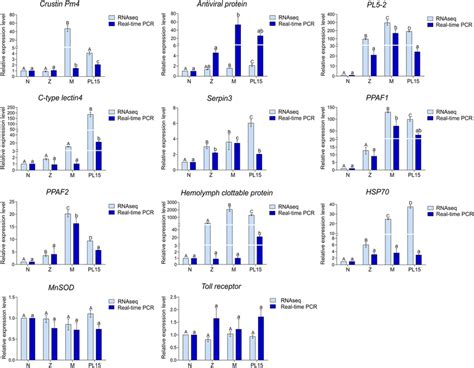 Validation Of Rnaseq Data By Quantitative Real Time Pcr Qpcr Of