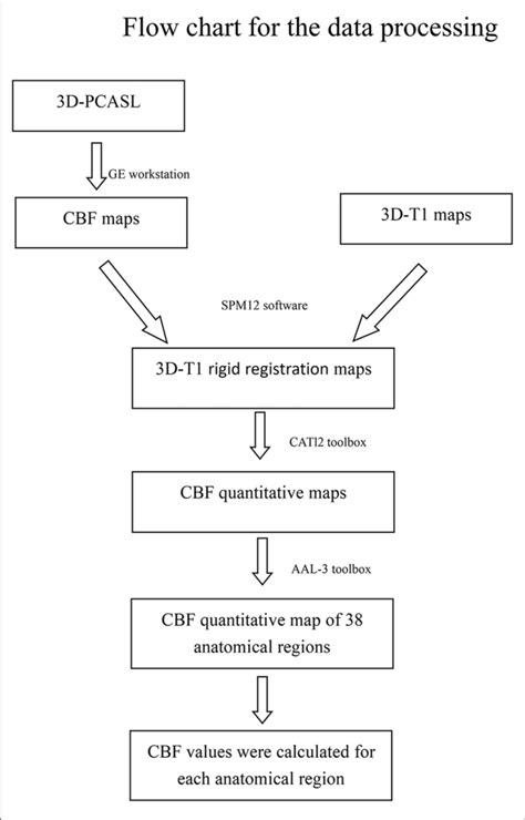 Flow Chart For The Data Processing Download Scientific Diagram